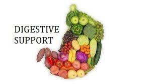 Digestive Support – Vitamin Choice Outlet